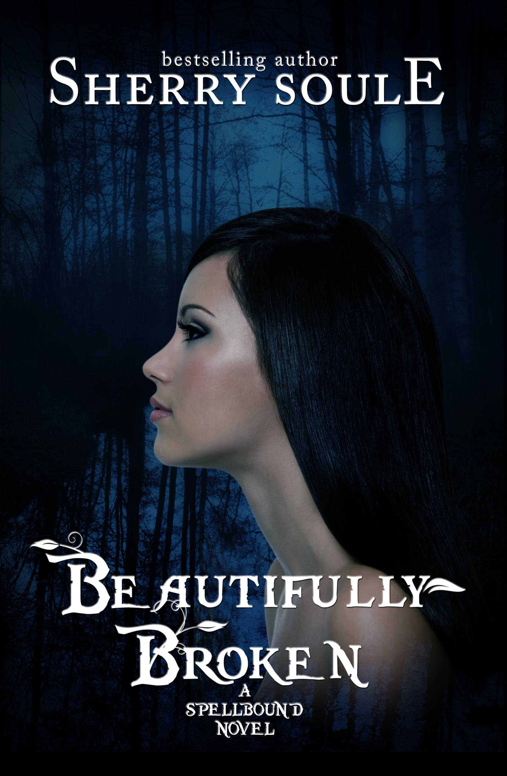 Spellbound Winter Book Tour - Chapter Break