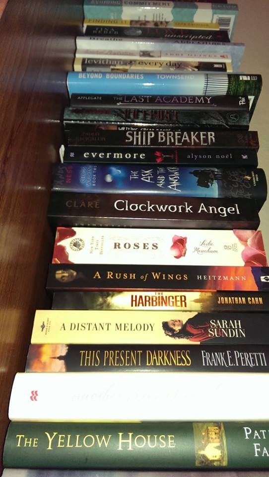 Chat Between Chapters: How do you organize your bookshelves? - Chapter ...