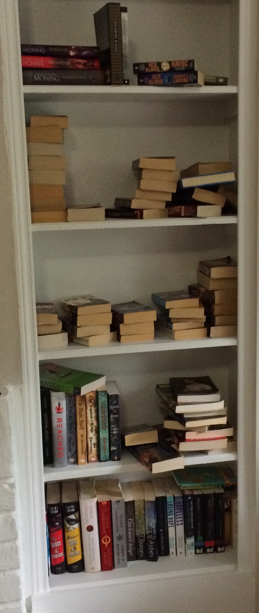 Let's chat about our bookshelves again, shall we? - Chapter Break