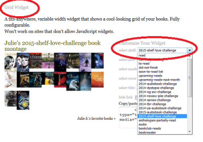 How to Embed a Goodreads Shelf into a Blog Post - Chapter Break